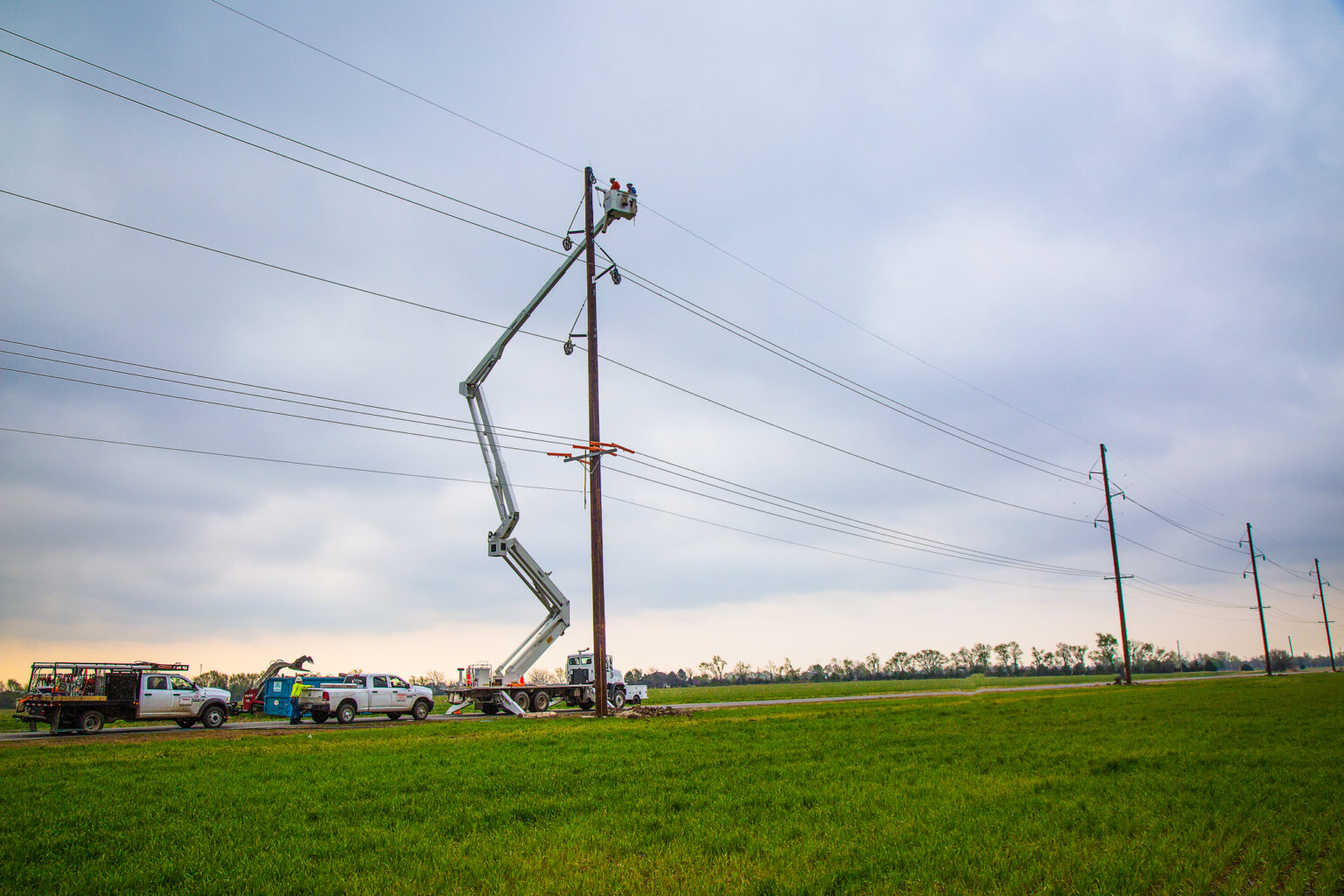Distribution line construction and maintenance | Infrastructure Power