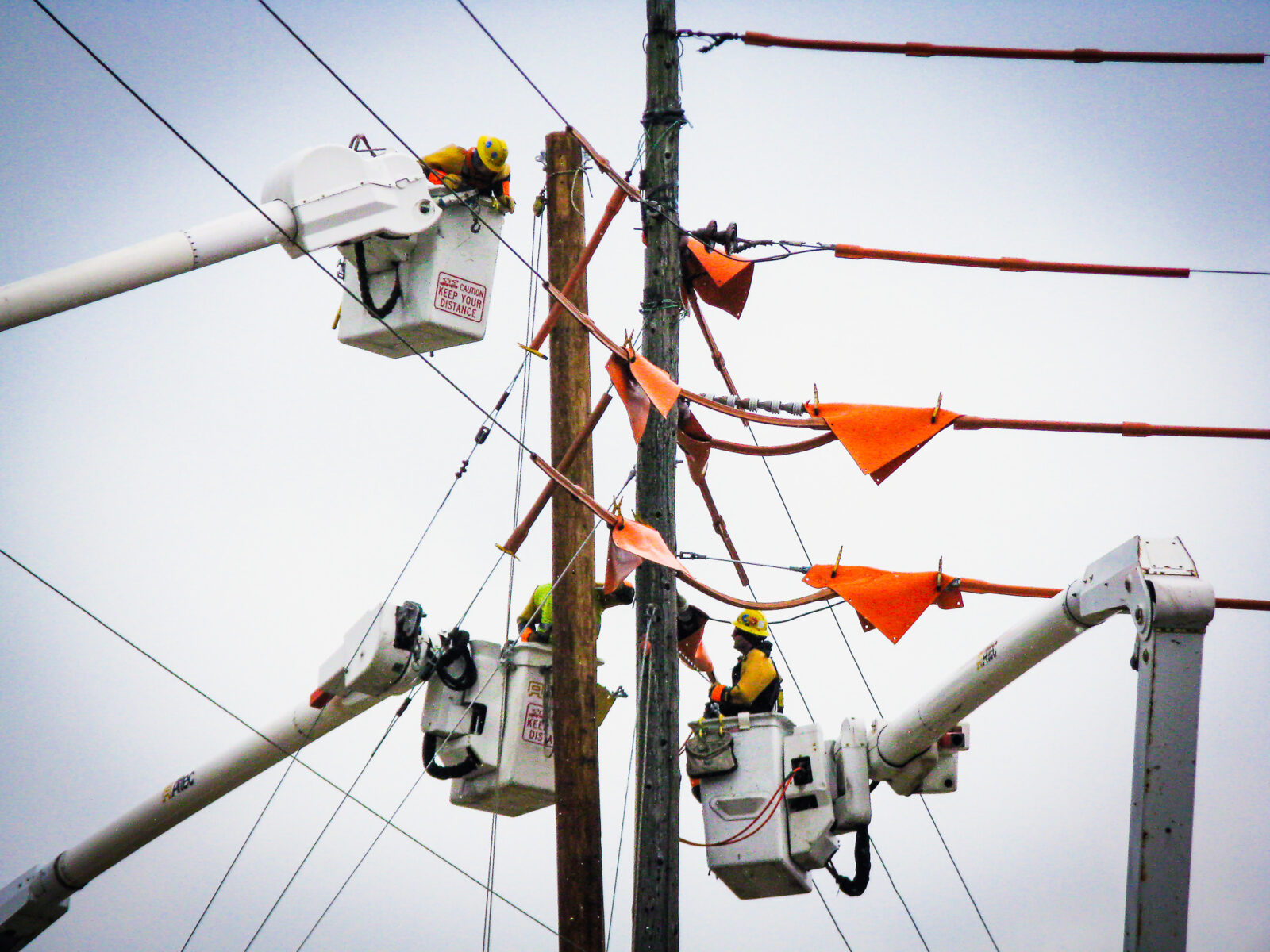 Distribution line construction and maintenance | Infrastructure Power
