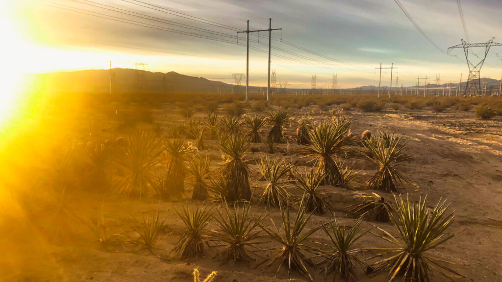 MYR Group's Subsidiary, Sturgeon Electric, Completes Harry Allen to ...