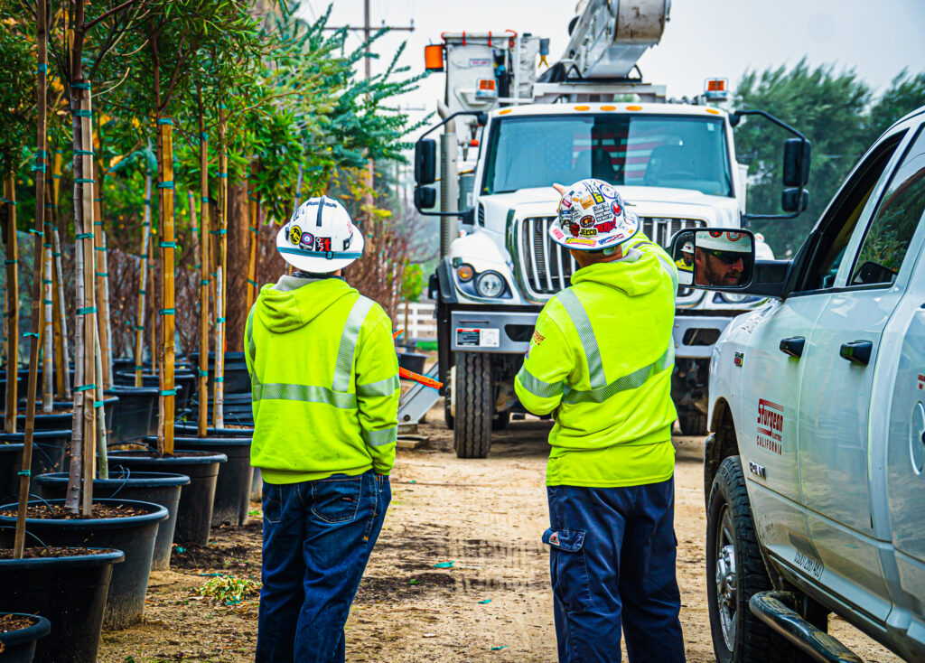 Distribution line construction and maintenance | Infrastructure Power