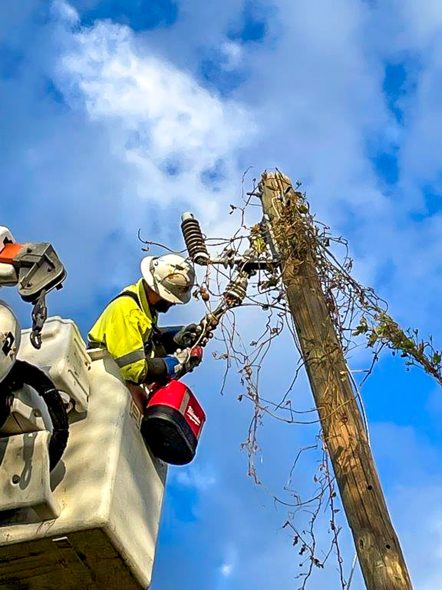 MYR Group Subsidiaries Provide Hurricane Ian Storm Restoration Services ...